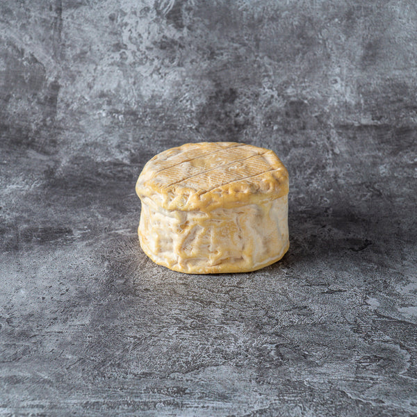 Solstice Cows Cheese – White Lake Cheese